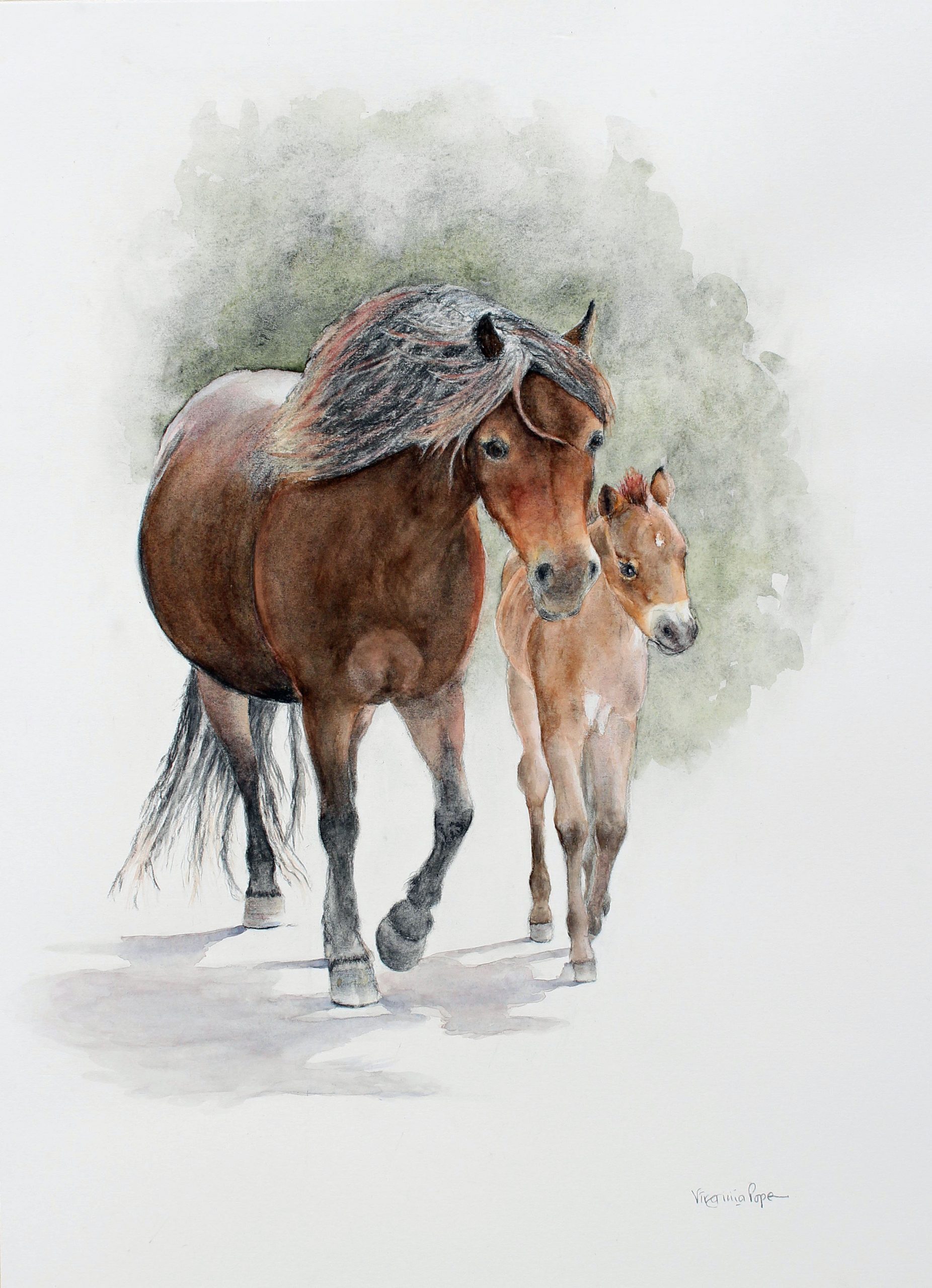 'Quickstep' (A4) - Virginia Pope